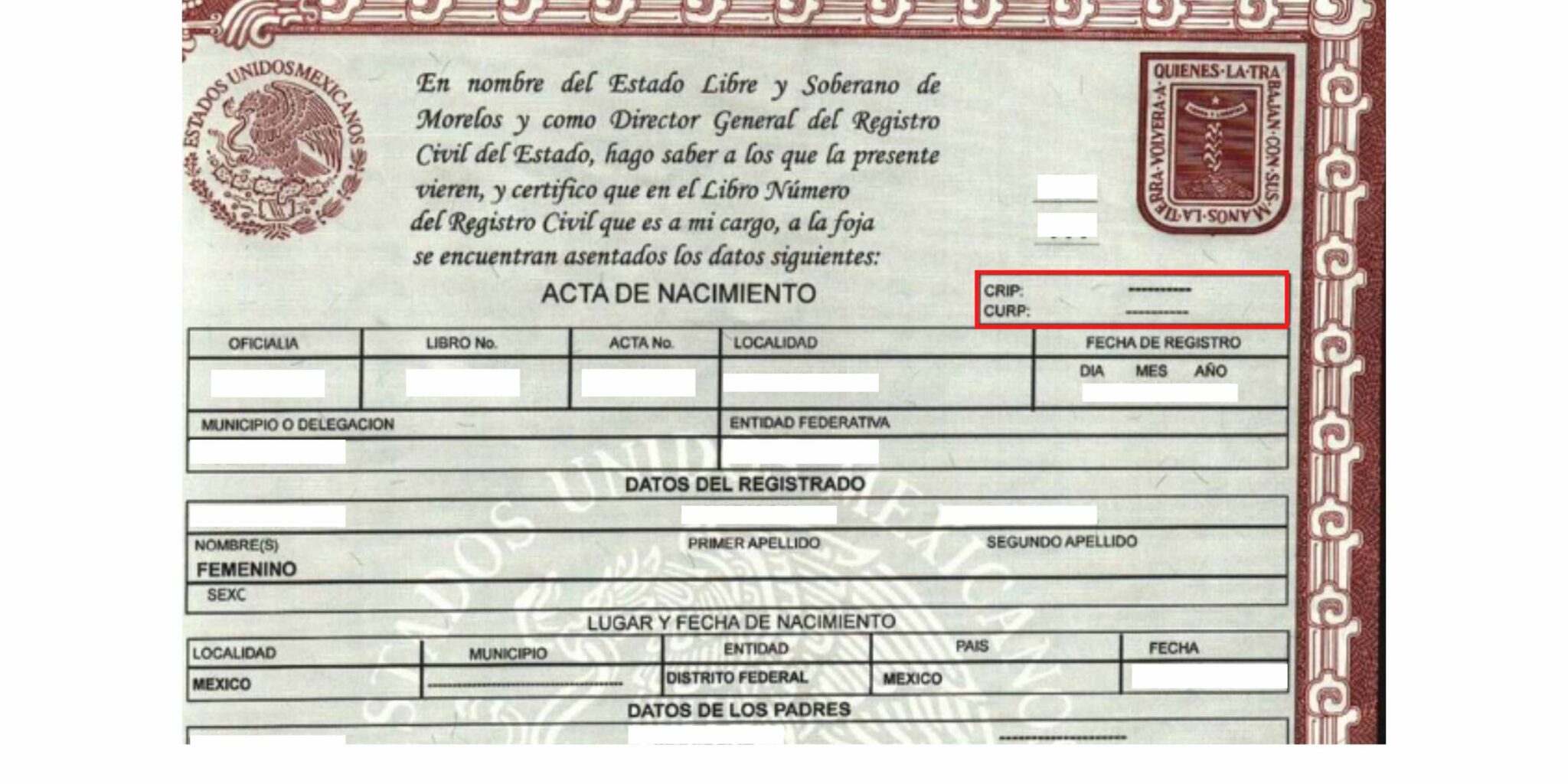 Crip Del Acta De Nacimiento Toda La INFO Actualizada